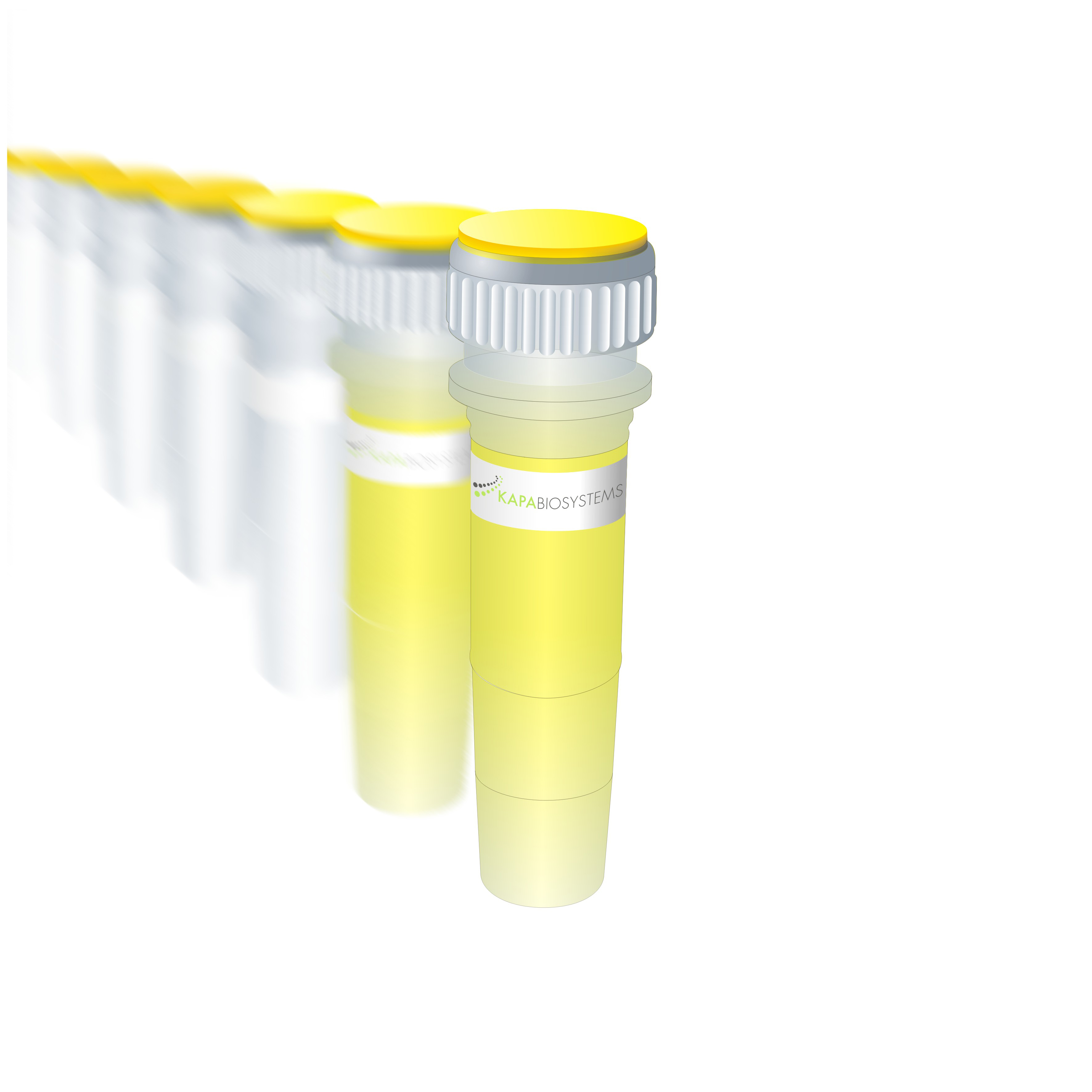 nippon genetics co, ltd